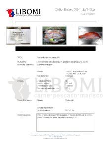 catalogo libomi web - manel.solar - Página 63 | Flip PDF en línea ...