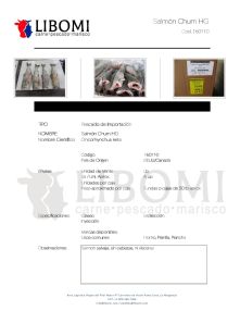 catalogo libomi web - manel.solar - Página 74 | Flip PDF en línea ...