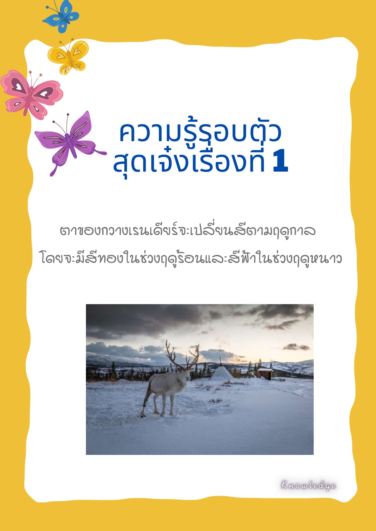 10 ความรู้ - Anutida Mapet - Page 3 | Flip PDF Online | PubHTML5