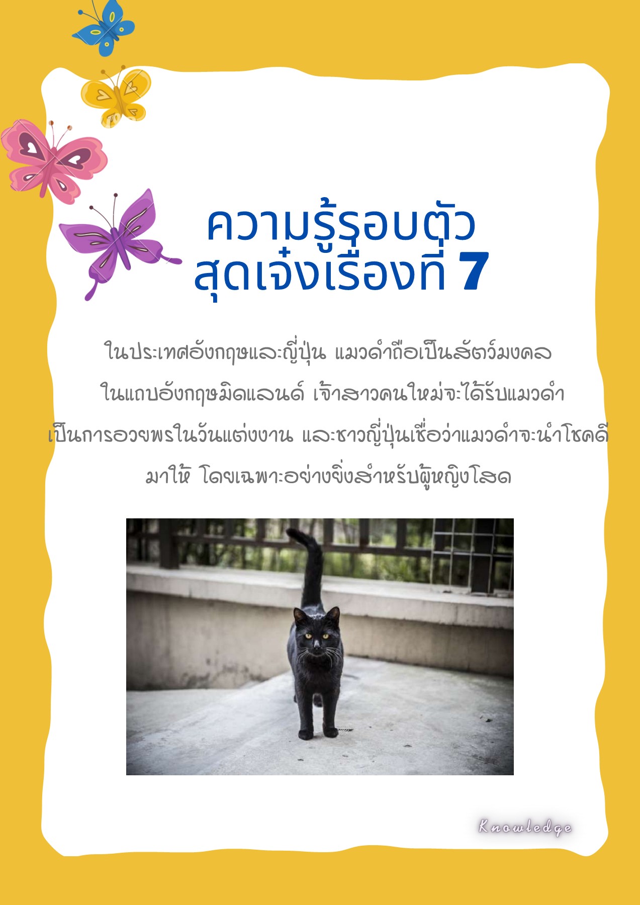 10 ความรู้ - Anutida Mapet - Page 9 | Flip PDF Online | PubHTML5