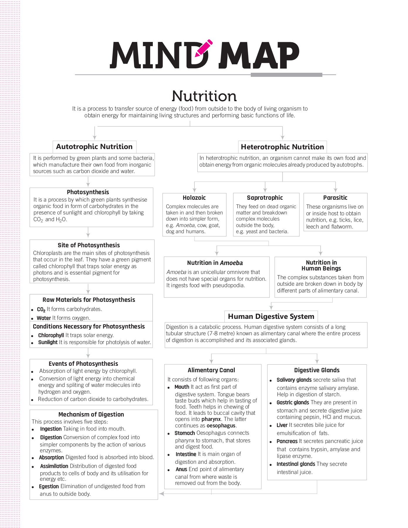 ️1 -MIND MAP OF NUTRITION CH 6 BIO - M R Divya - Page 1 | Flip PDF ...