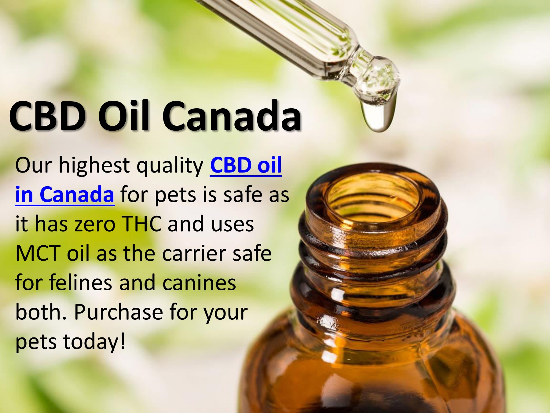 CBD Oil Canada - Ethical Botanicals - Page 1 - 5 | Flip PDF Online ...