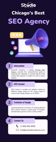 Chicago’s Best SEO Agency - Studio45 Creations - Page 1 - 1 | Flip PDF Online | PubHTML5