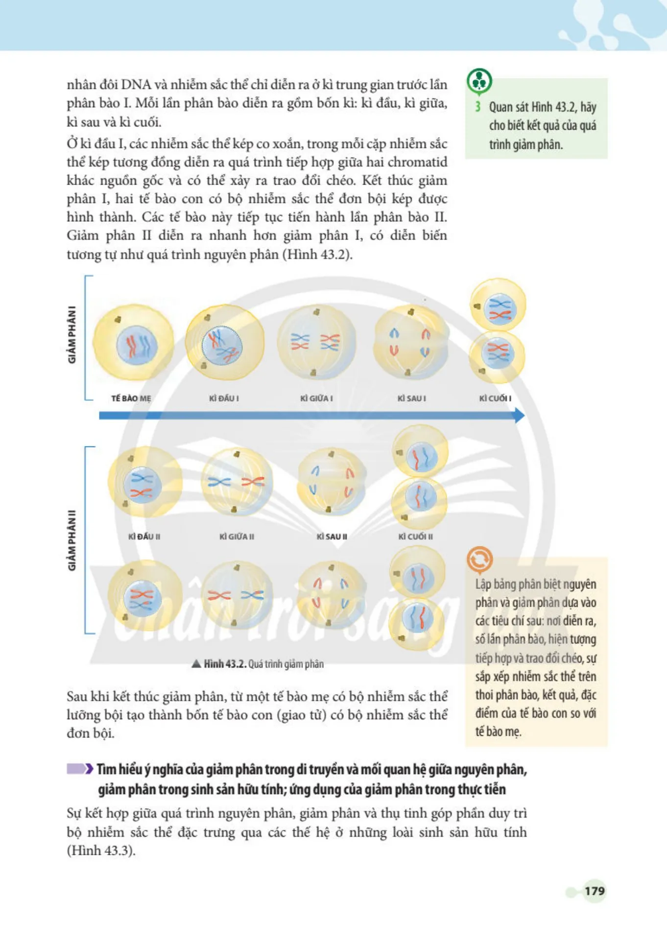 SGK KHTN 9 - CTST - THCS MƯƠNG MÁN - TV ĐIỆN TỬ - Trang 181 | PDF lật trang trực tuyến | PubHTML5