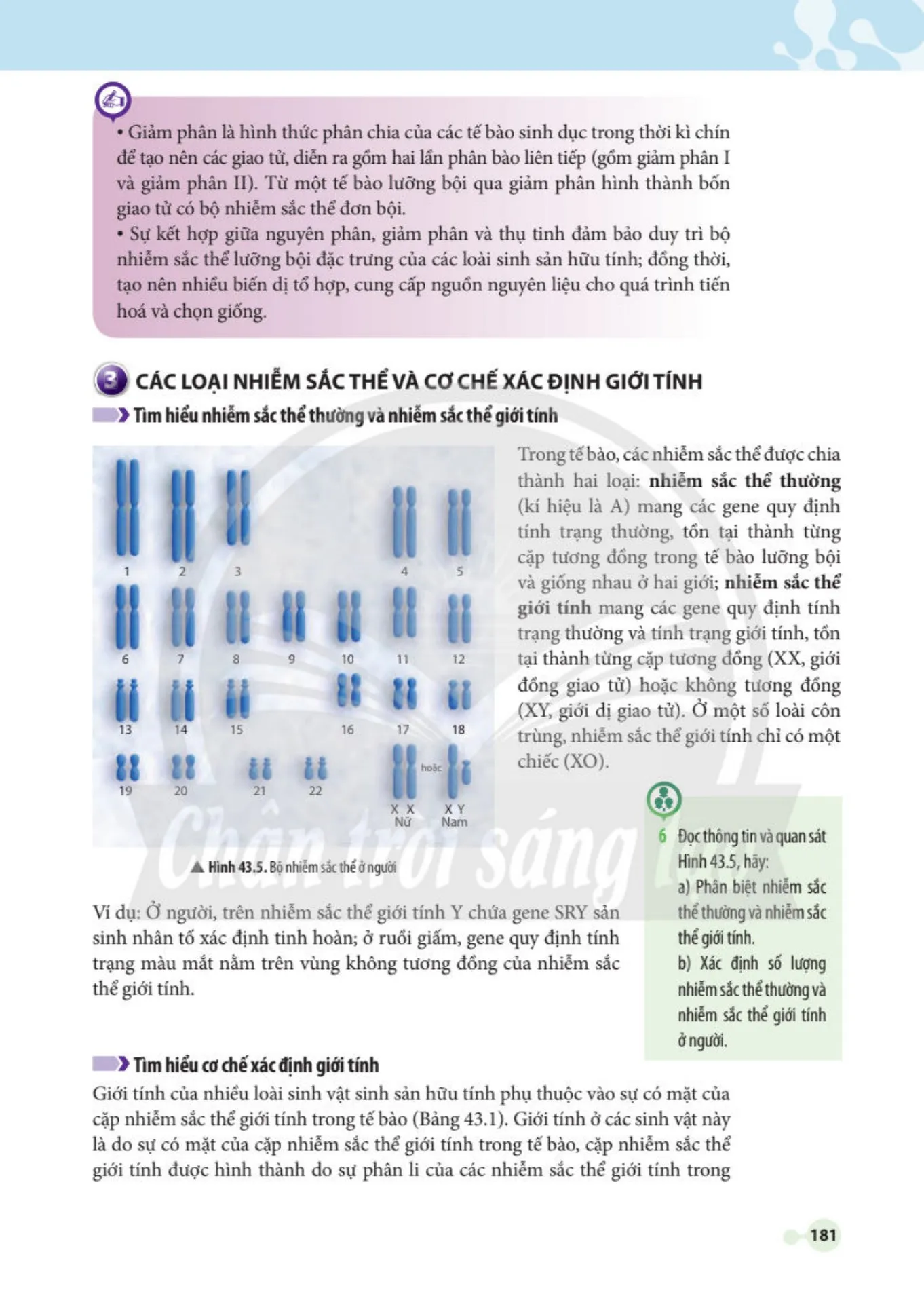 SGK KHTN 9 - CTST - THCS MƯƠNG MÁN - TV ĐIỆN TỬ - Trang 183 | PDF lật trang trực tuyến | PubHTML5