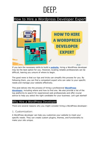 How to Hire a Wordpress Developer Expert