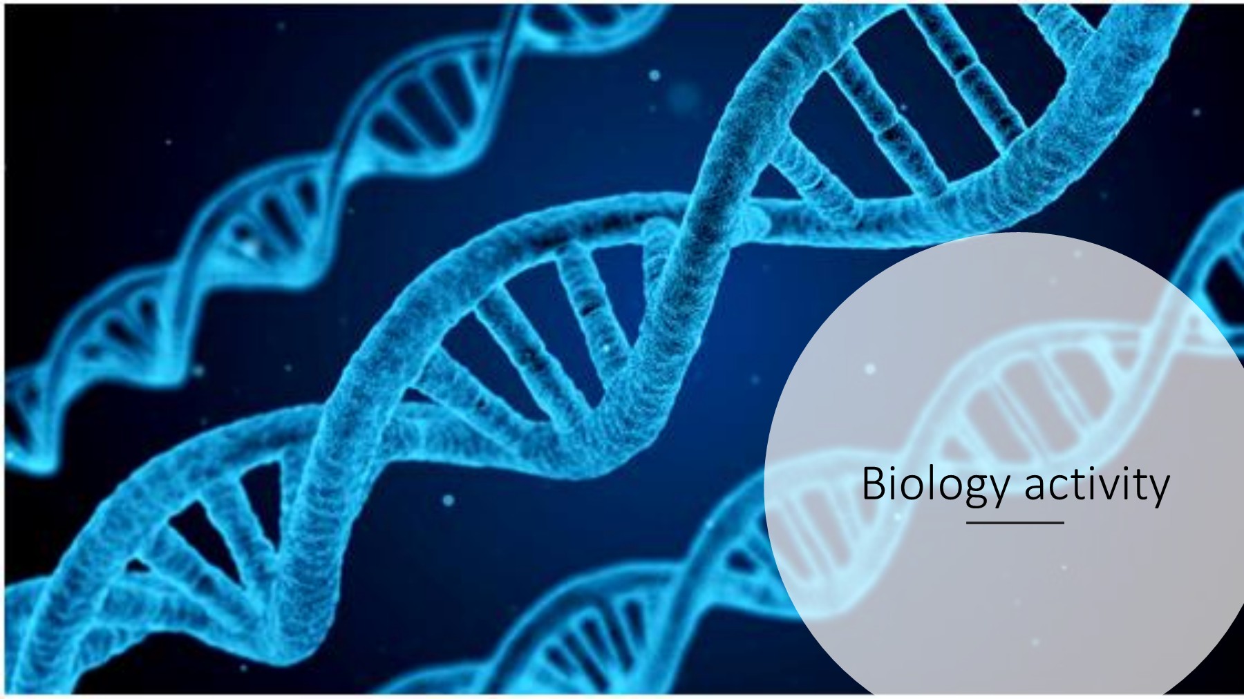 bio activity (1) - Aryan Bhatia VIII-C - Page 1 - 5 | Flip PDF Online ...
