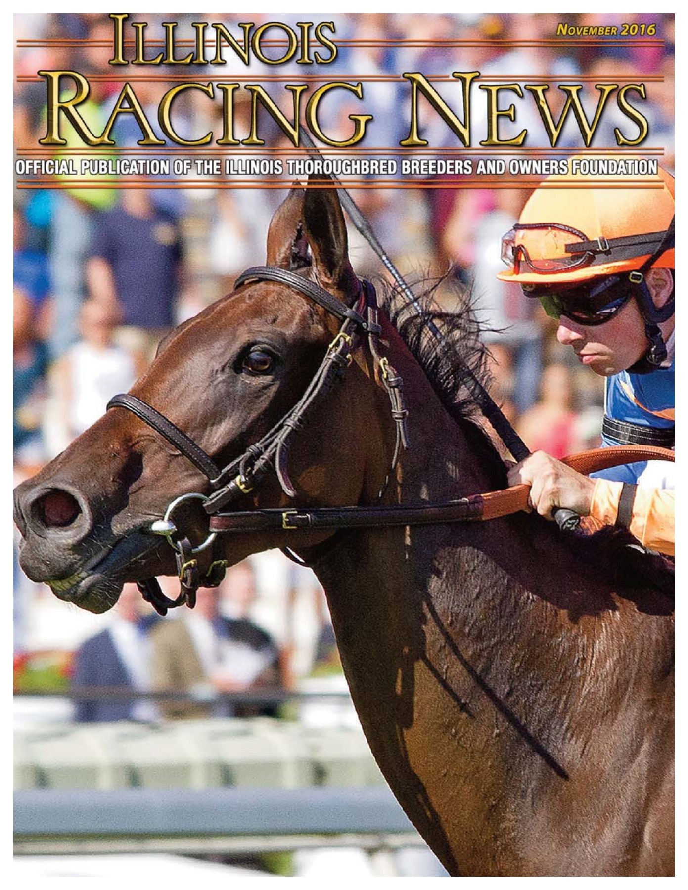 IllinoisRacingNews_November2016 - dianecole - Page 1 - 14 | Flip PDF ...