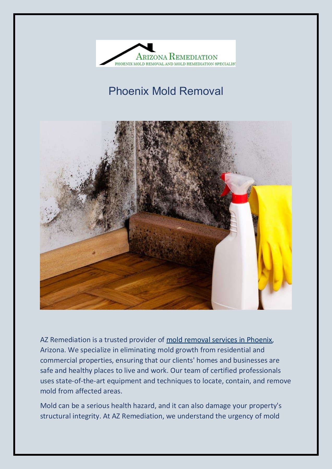 Phoenix Mold Removal - AZ Remediation - Page 1 - 2 | Flip PDF Online ...