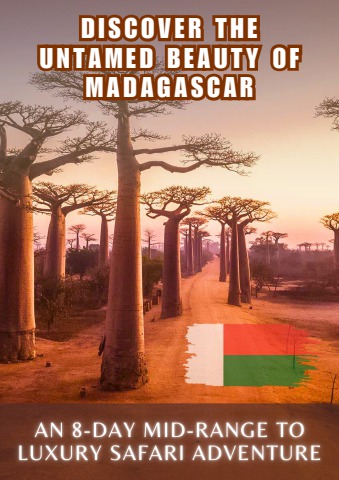 Discover the Untamed Beauty of Madagascar