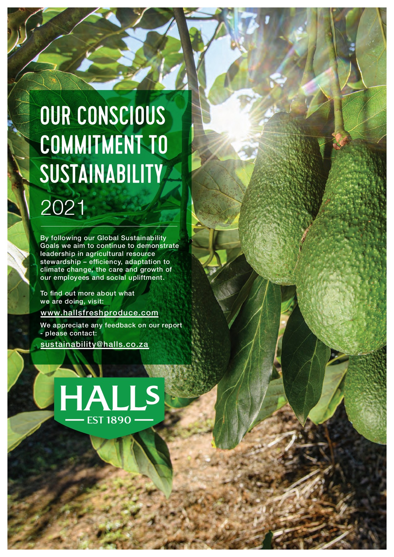 Halls ESG Report 2021 FR - Jordan Sweke - Page 28 | PDF Feuilletable en ...