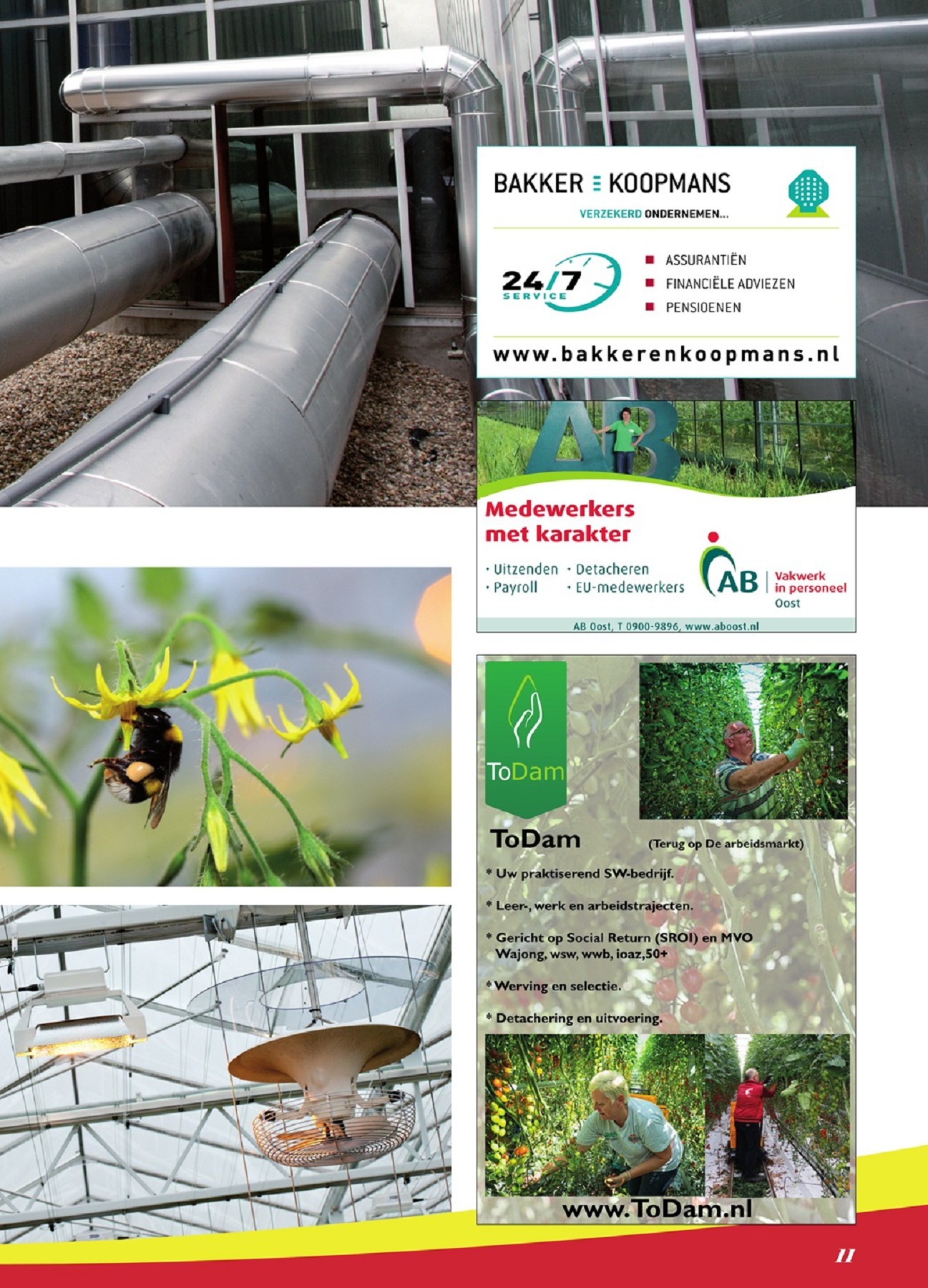 300_0011 - info - Page 1 - 1 | Flip PDF Online | PubHTML5