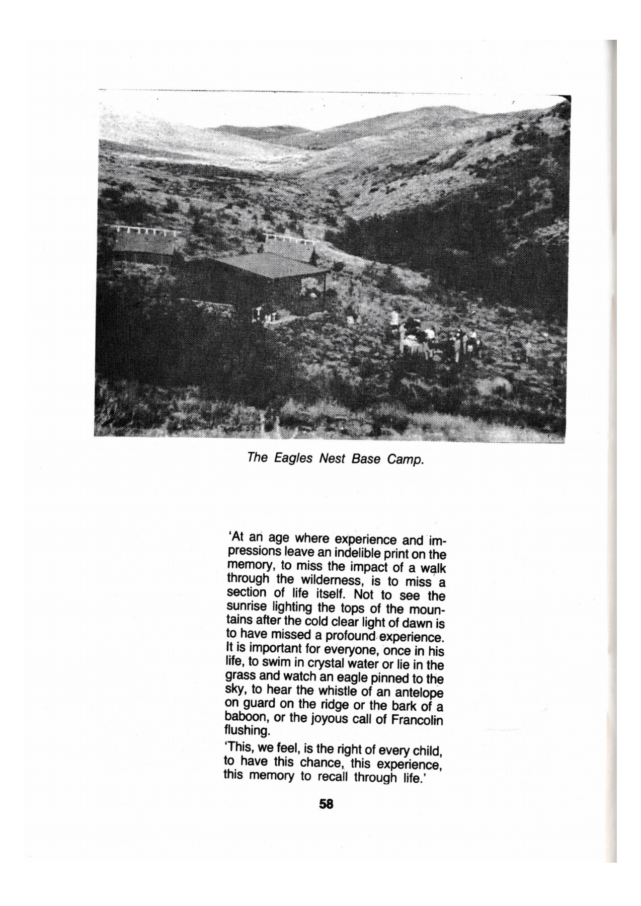 PELEA - No 1 - 1982 - ecgma - Página 60 | Flip PDF en línea | PubHTML5