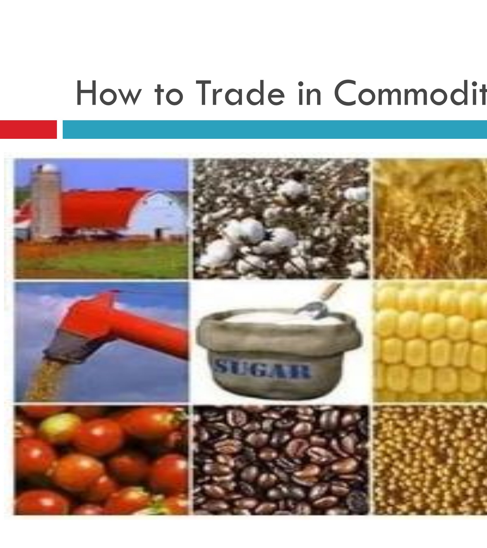 COMMODITY PPT 22 - info - Page 88 | Flip PDF Online | PubHTML5