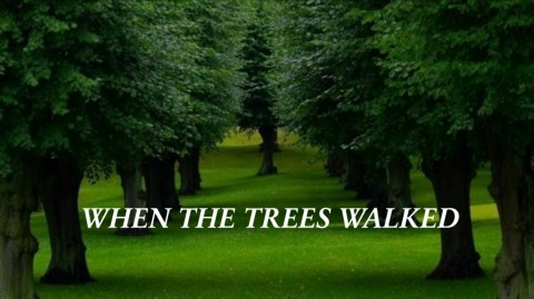 When The Trees Walk