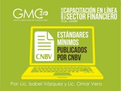 3Estándares mínimos CNBV - santanapty68 - Página 1 - 27 | Flip PDF en ...