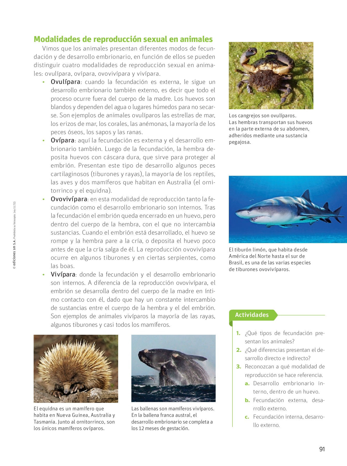 BIOLOGIA1 - Lorenzo Minaya - Página 29 | Flip PDF en línea | PubHTML5