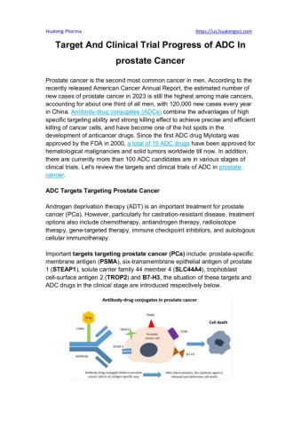 Target And Clinical Trial Progress of ADC In prostate Cancer