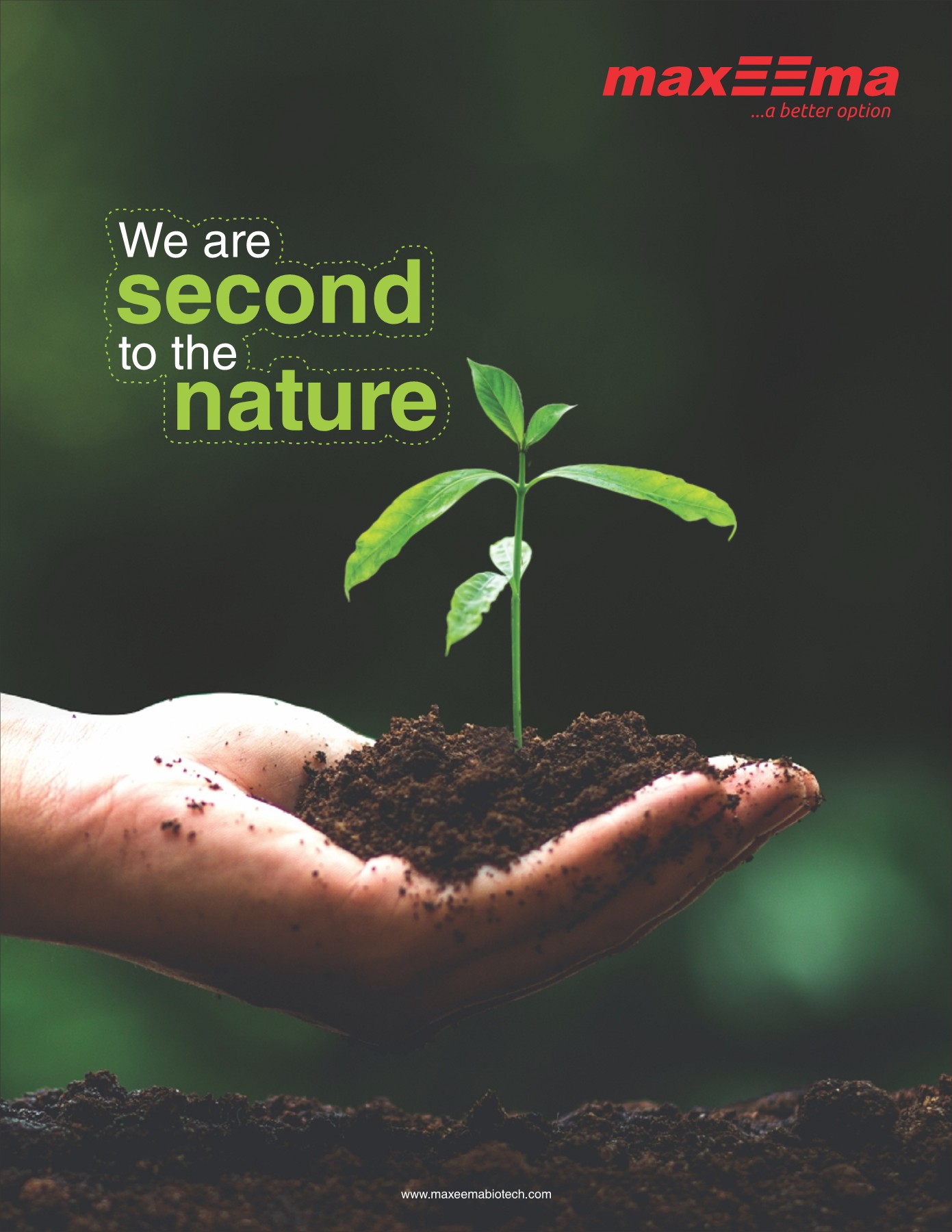 Catalog_Green Division - - Page 1 - 20 | Flip PDF Online | PubHTML5