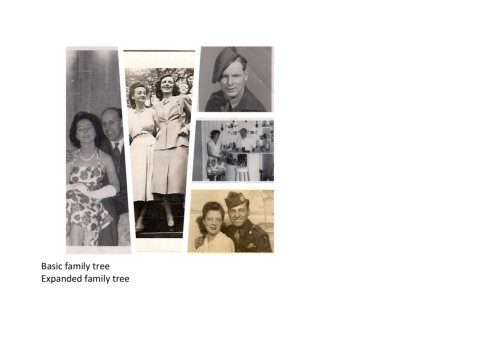 Family tree Robinson / Muir