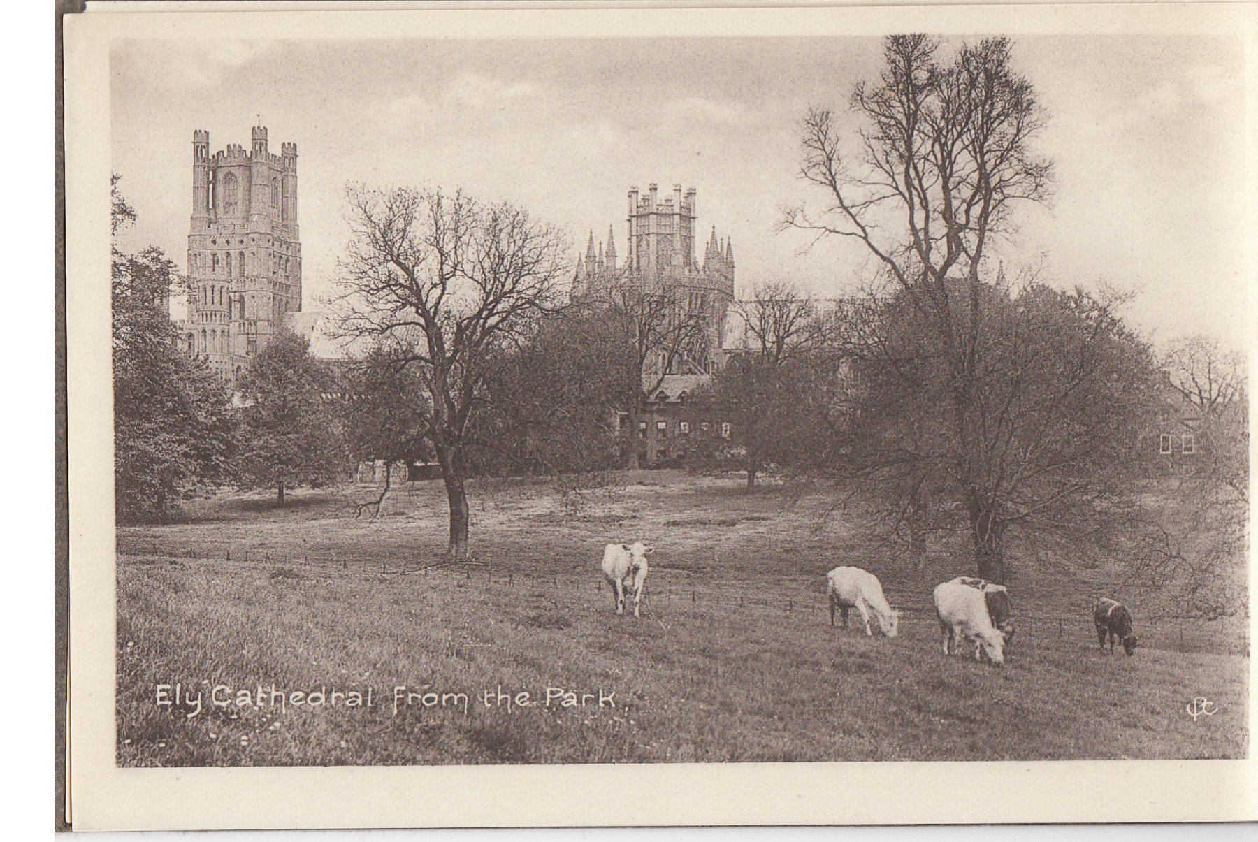 Ely Cathedral photo book - stuartahamilton - Page 3 | Flip PDF Online | PubHTML5