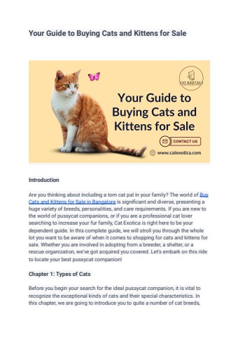 Your Guide to Buying Cats and Kittens for Sale