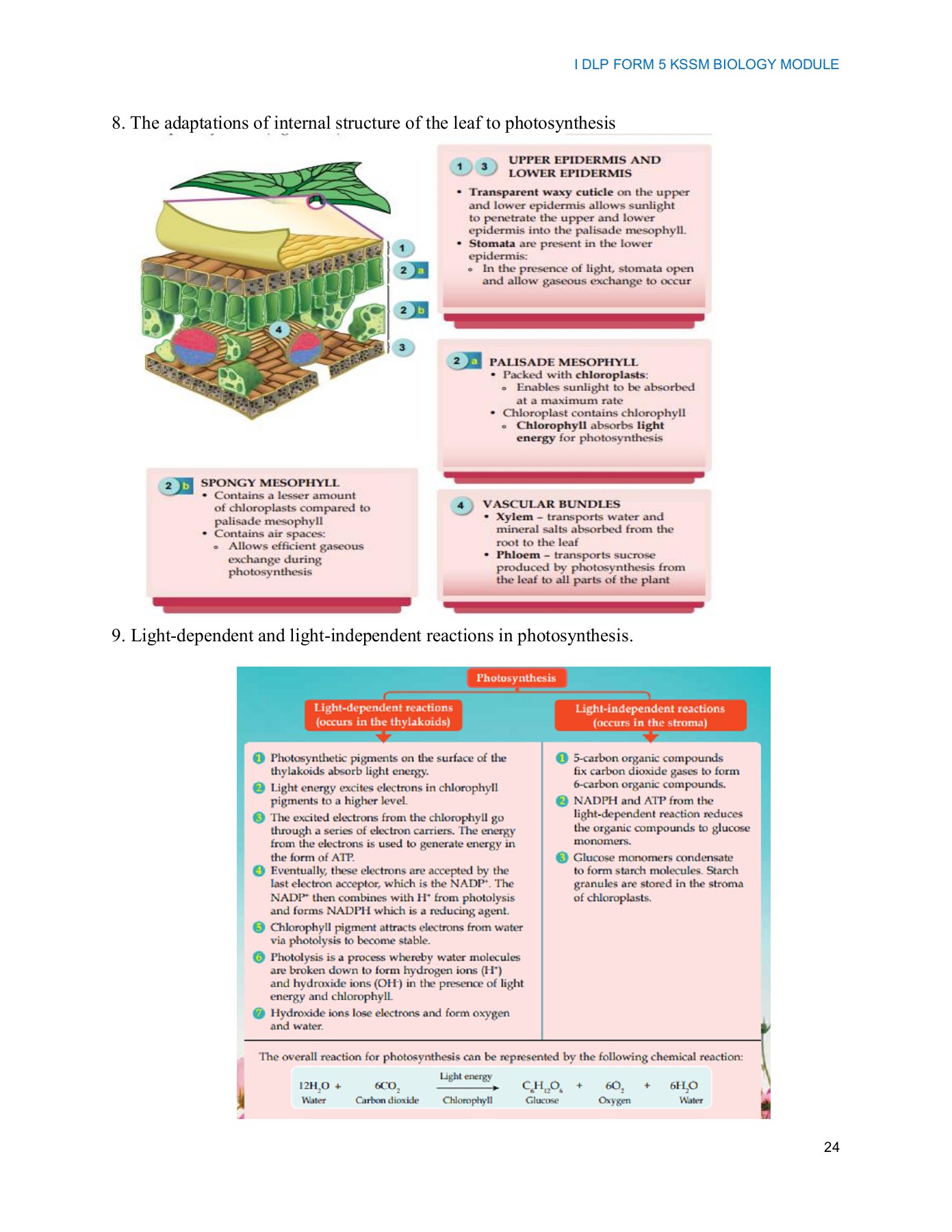 MODUL DLP BIOLOGI KSSM T5 - sainsmatematikjpm - Muka Surat 29 ...