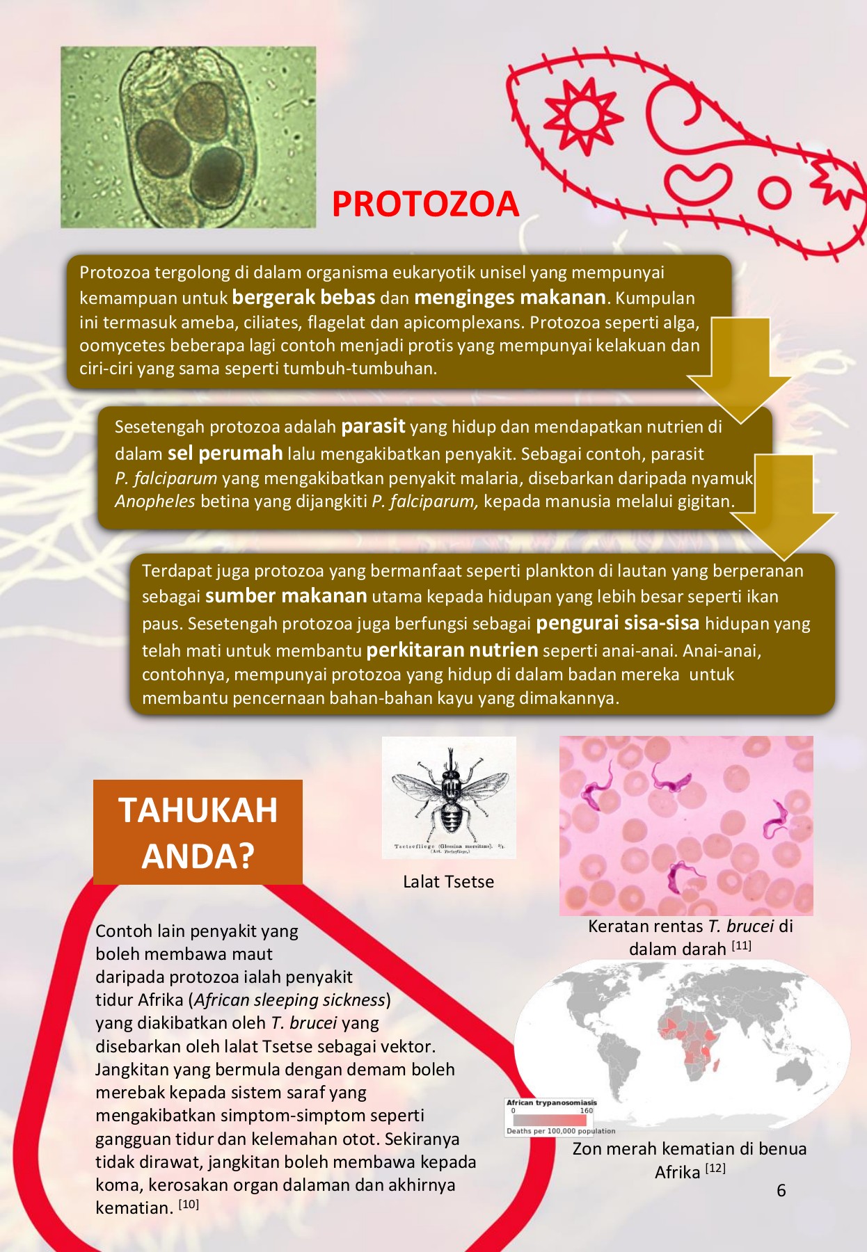 Final MikrobFRWD Kenali Dunia Mikroskopik - AMIRUL ADLI ABD AZIZ - Halaman 19 | PDF Online ...