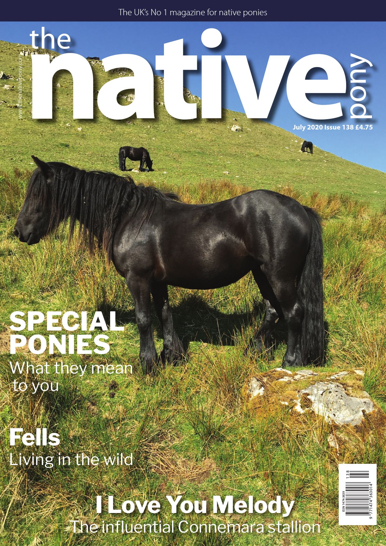 The Native Pony Magazine Issue 138 Teaser - Showing World Ltd - Page 1 ...