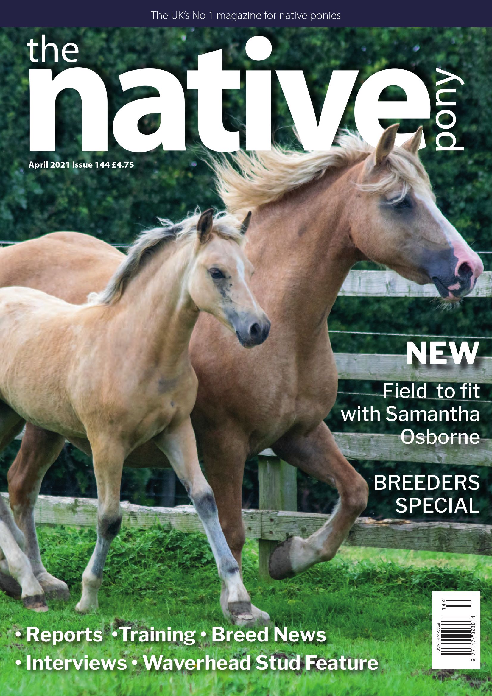 The Native Pony Magazine Issue 144 Teaser - Showing World Ltd - Page 1 ...