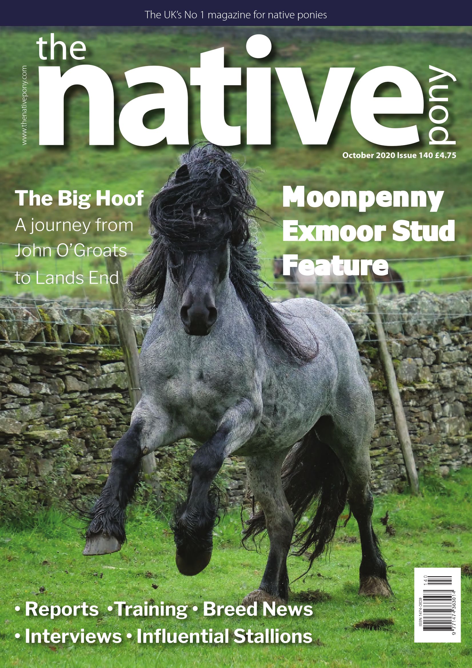 The Native Pony Magazine Issue 140 Teaser - Showing World Ltd - Page 1 ...