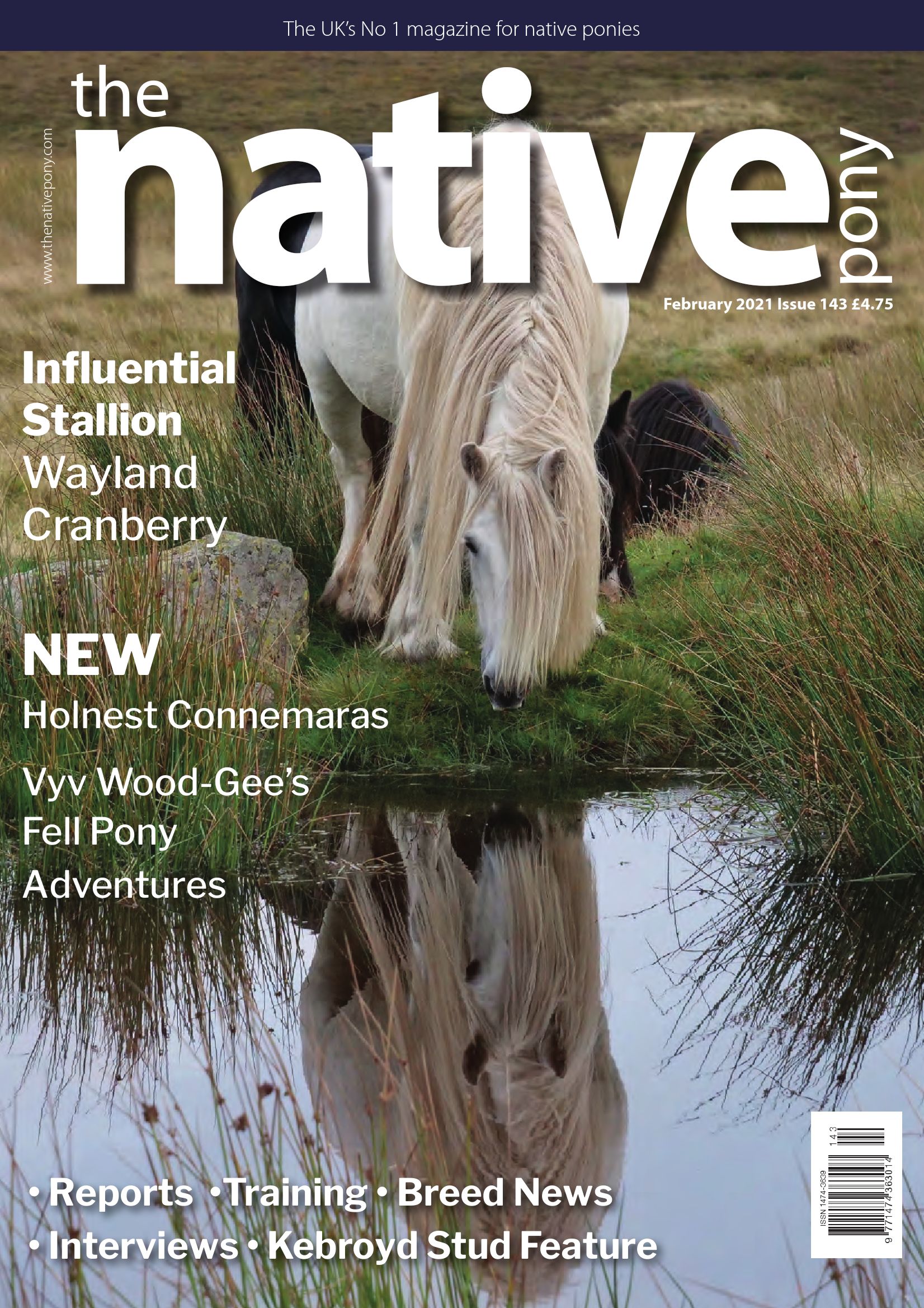 The Native Pony Magazine Issue 143 Teaser - Showing World Ltd - Page 1 ...
