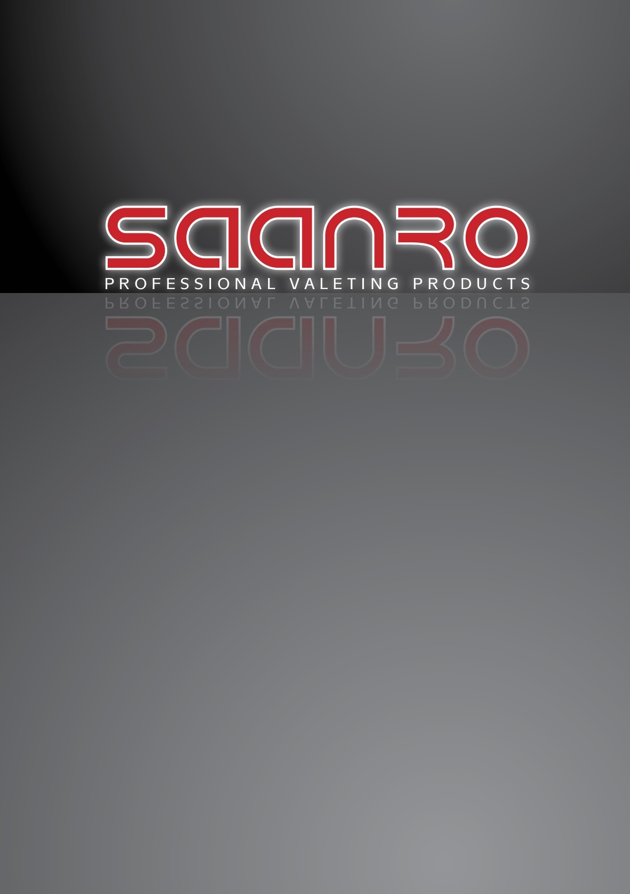 SAANRO Brochure - liz - Page 1 - 16 | Flip PDF Online | PubHTML5