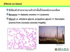 เรื่องพิษจากตัวทำละลาย (Solvent Poisoning) - arsa.260753 - Page 36 ...