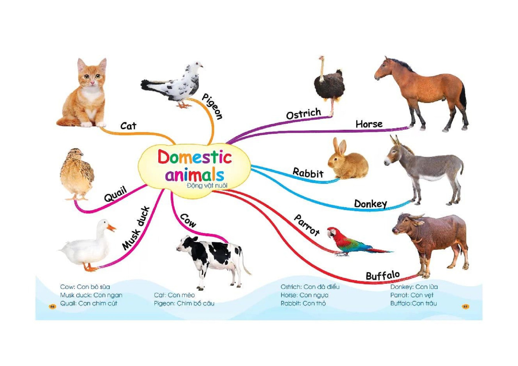 Mindmap các chủ đề - TRẦN THỊ TUYẾT TRANG - Trang 20 | PDF lật trang trực tuyến | PubHTML5