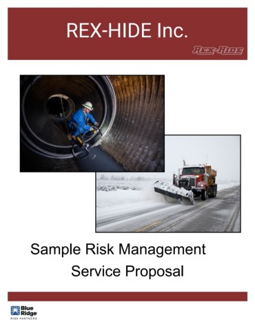Rex-Hide Sample Risk Management Proposal