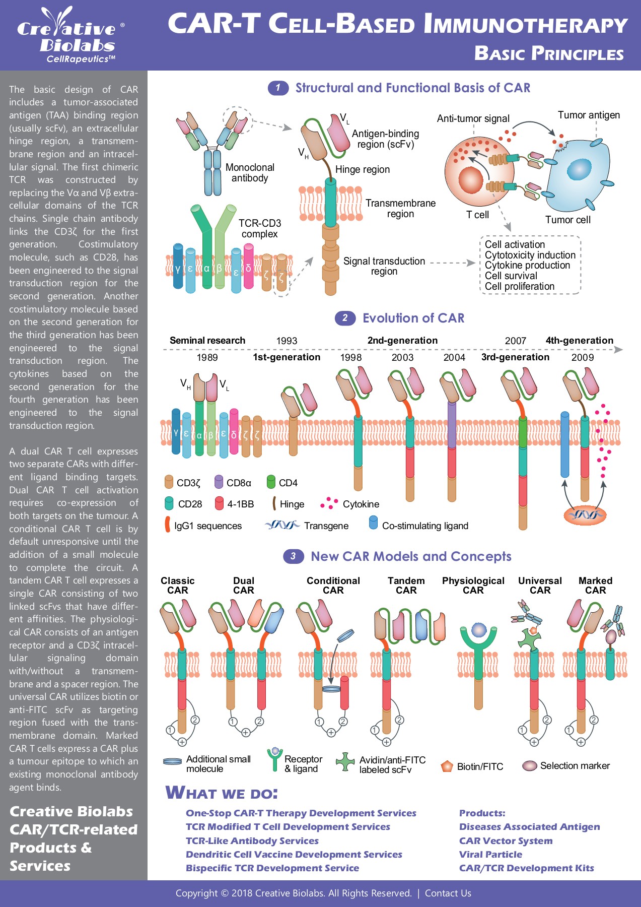 CAR-T-Cell-Based-Immunotherapy-Basic-Principles - cailynnjohnson - Page ...