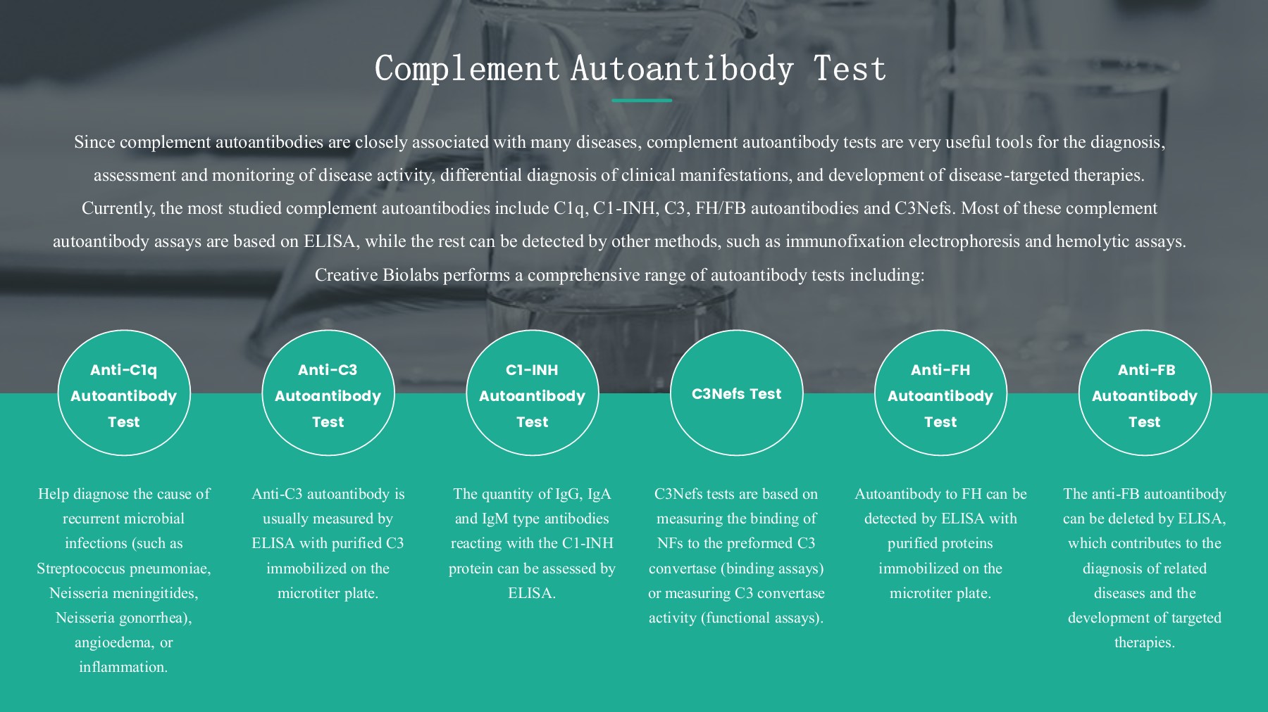 Complement-Testing-Services - cailynnjohnson - Page 11 | Flip PDF ...