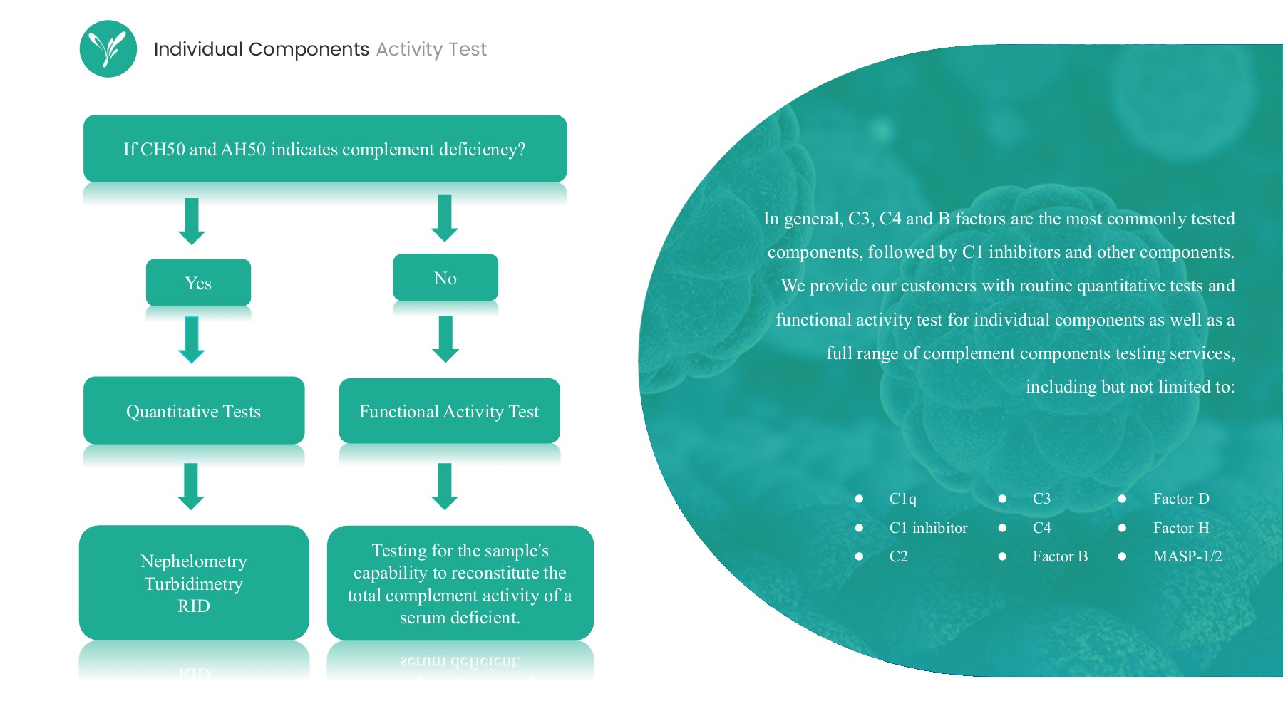 Complement-Testing-Services - cailynnjohnson - Page 9 | Flip PDF Online ...
