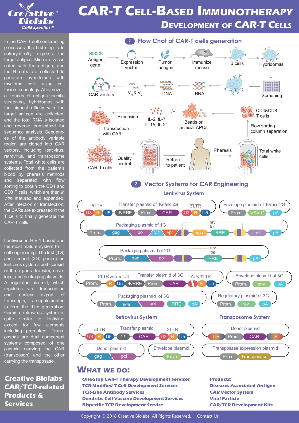 CAR-T-Cell-Based-Immunotherapy-Development-of-CAR-T-Cells ...