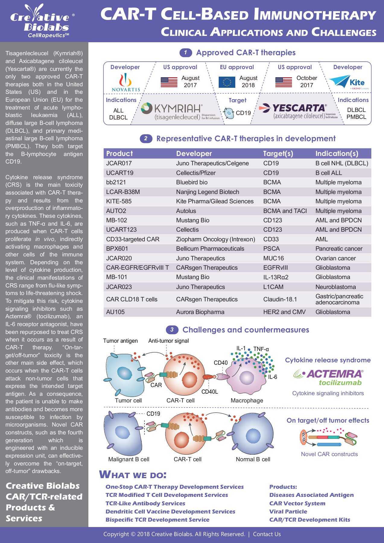 CAR-T-Cell-Based-Immunotherapy-Clinical-Applications-and-Challenges ...