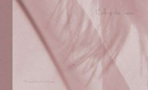 Calling The Swan draft - kayla.amy.may.g - Page 1 - 28 | Flip PDF ...