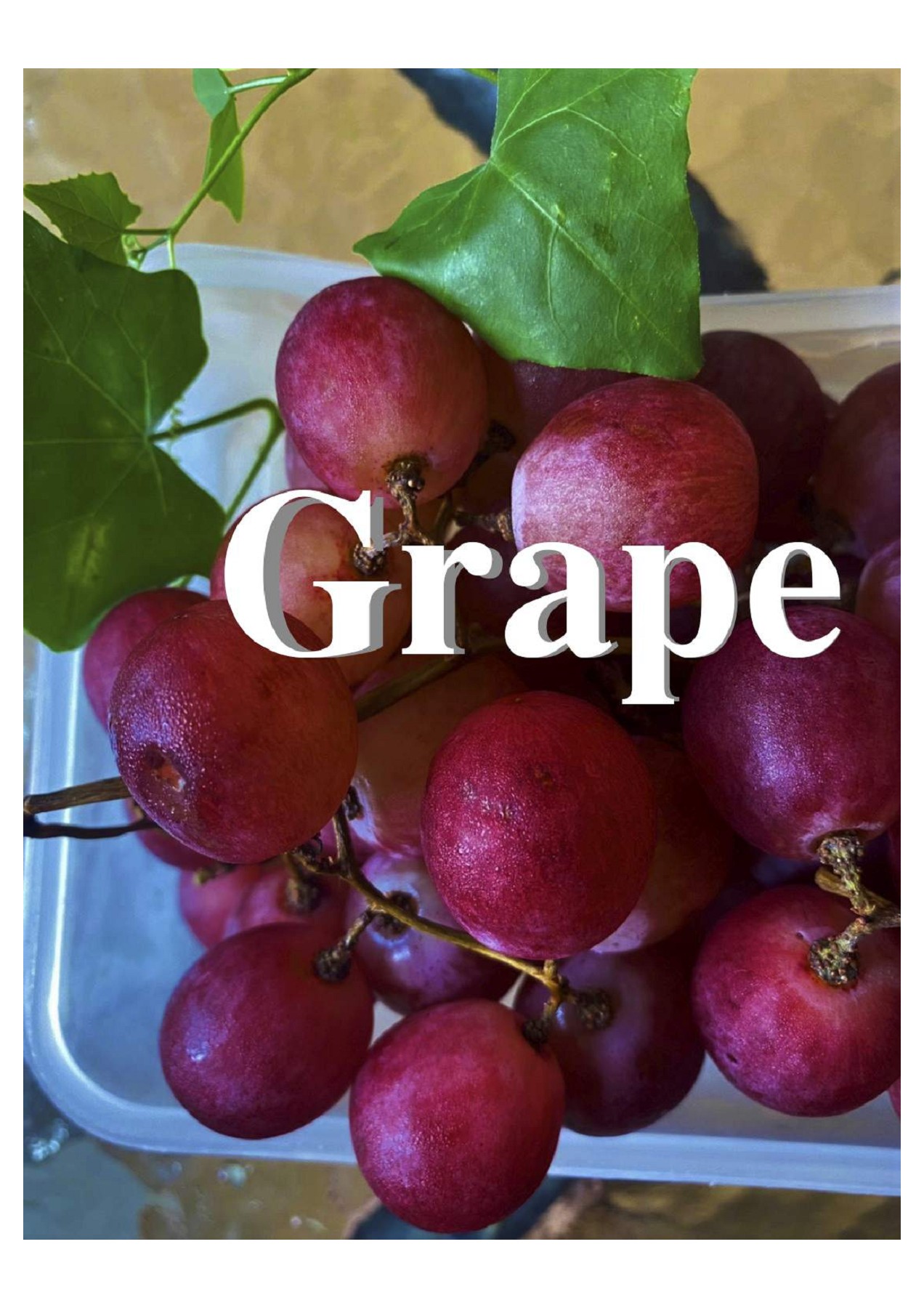 Grape - 21_Mathurada Noothong - Page 1 - 12 | Flip PDF Online | PubHTML5