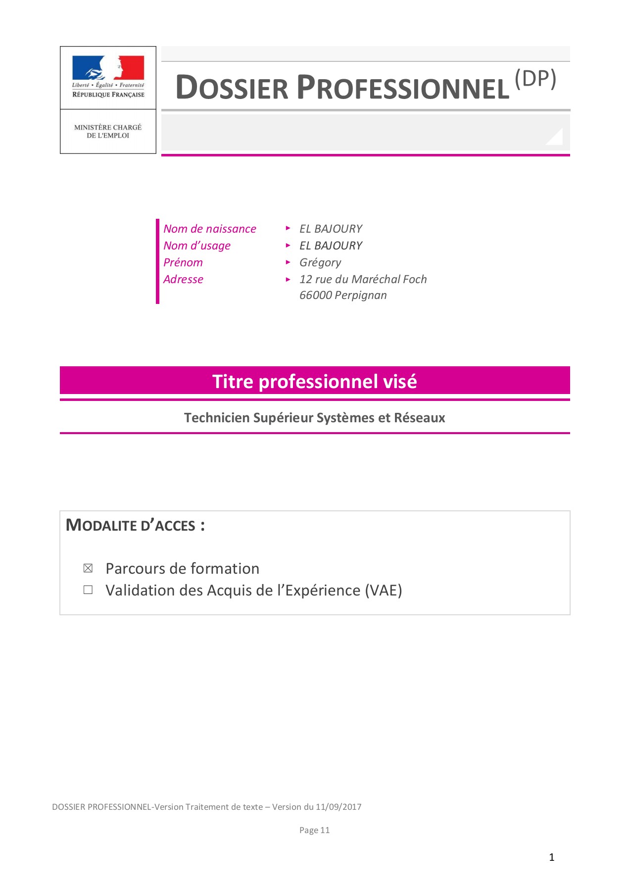 Dossier Pro TSSR GrOoT - Grégory El Bajoury - Page 1 | PDF Feuilletable ...