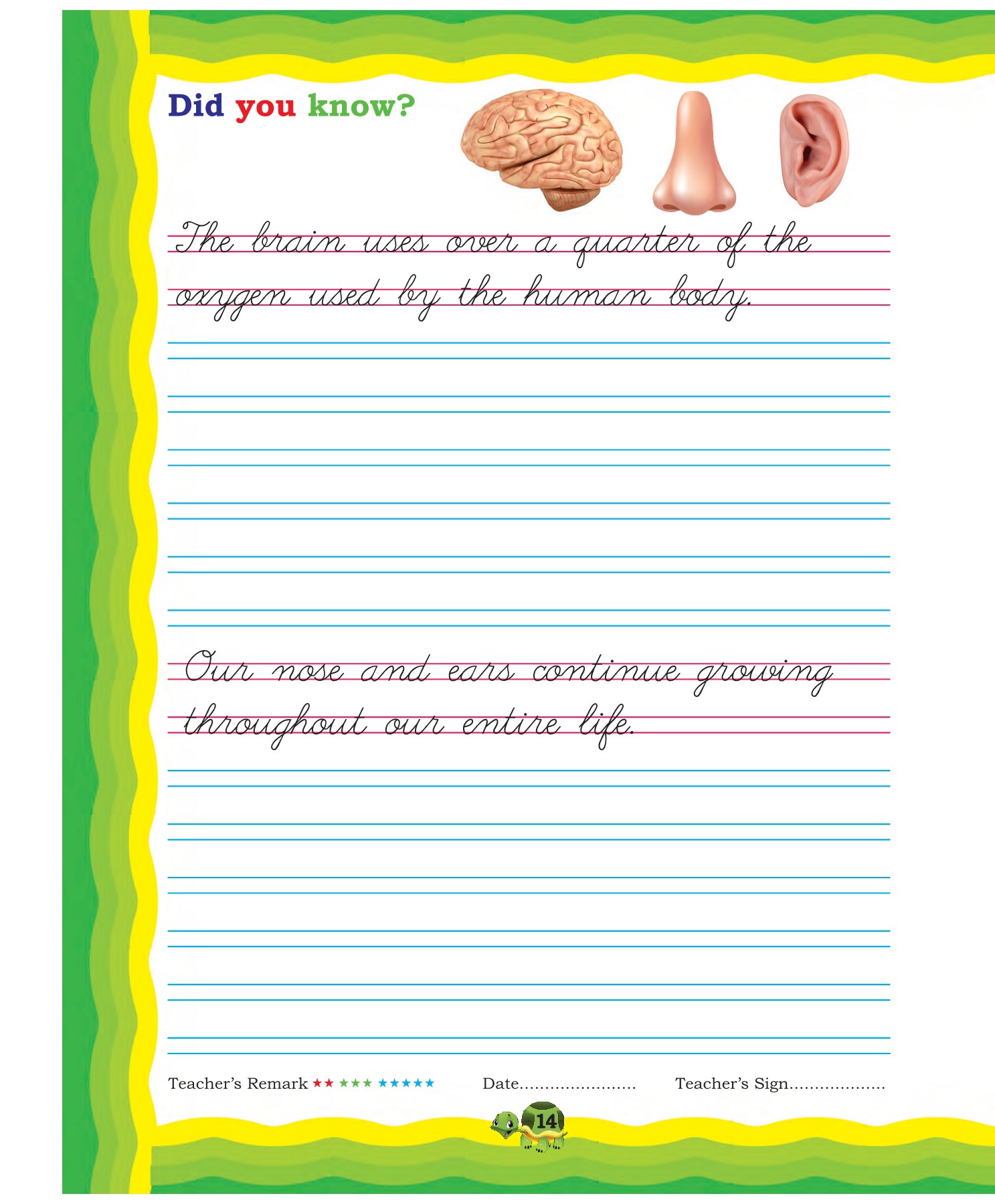English Cursive writing Book - 4 - Manisha Gupta - Page 15 | Flip PDF ...