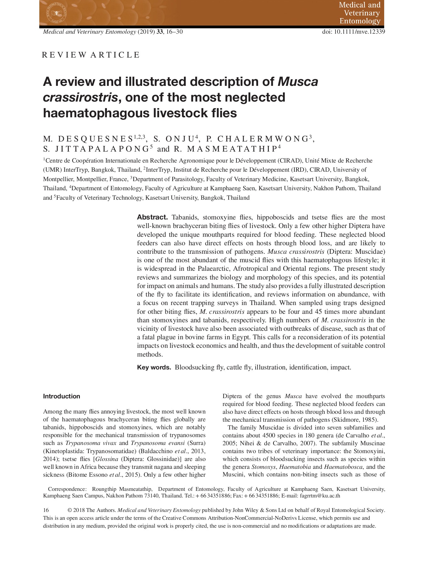 A review and illustrated description of Musca crassirostris - roungthip ...