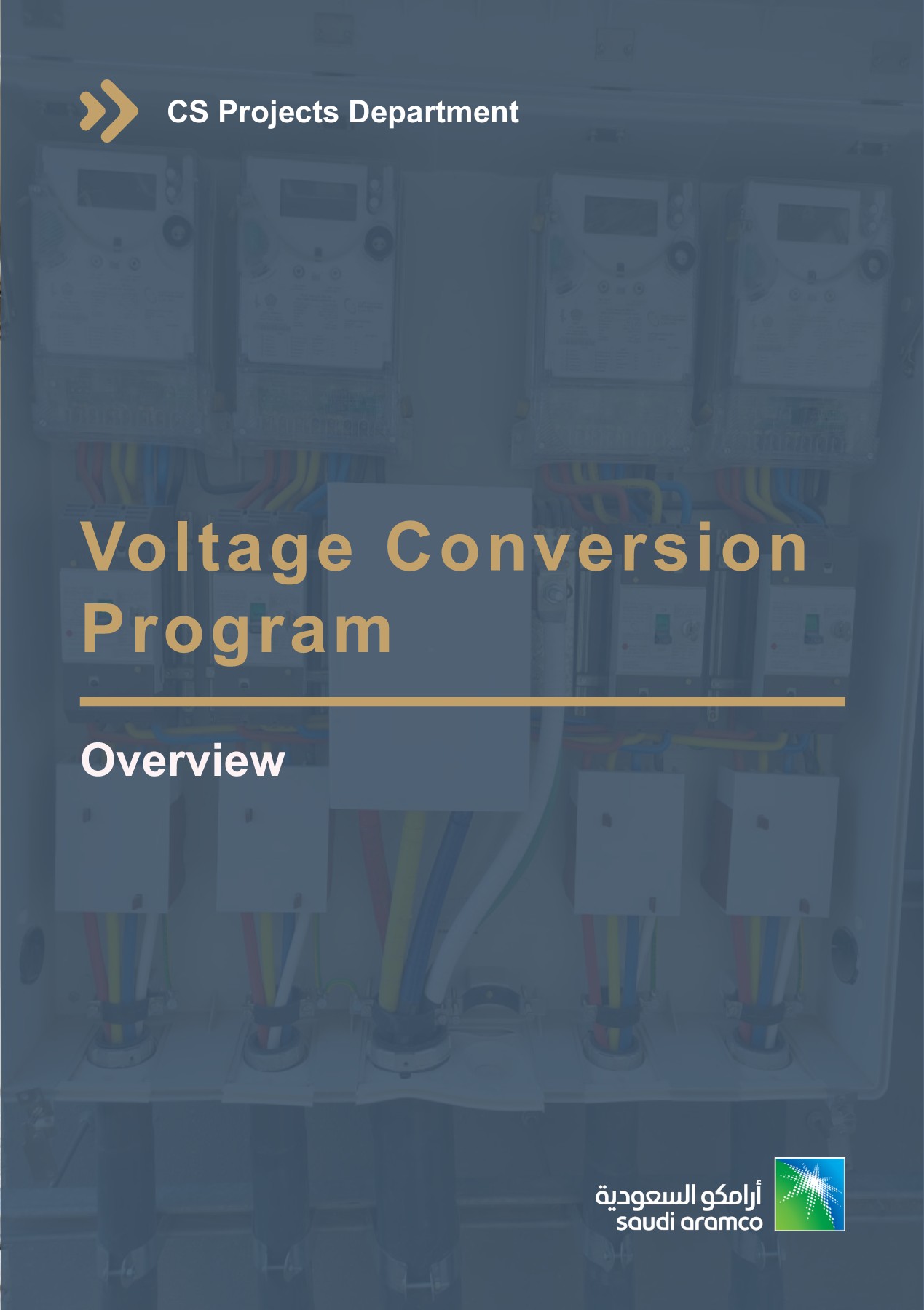 VCP Overview Booklet - Halah Aljughaiman - Page 1 - 30 | Flip PDF Online | PubHTML5