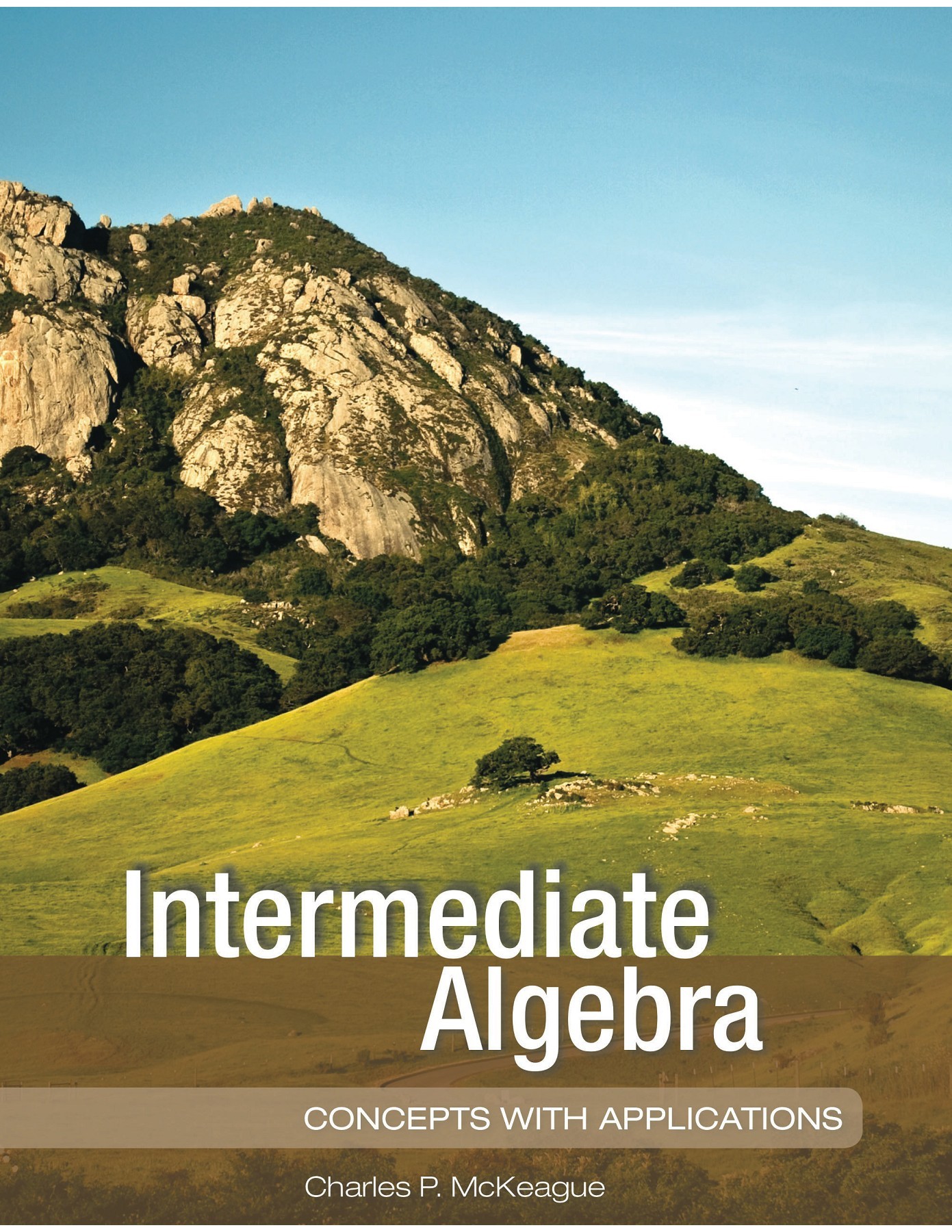 Sample Intermediate Algebra- Concepts with Applications Ed 1 ...