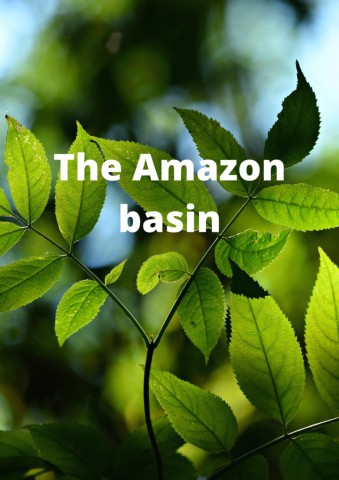 the Amazon basin - sonal sena - Page 1 - 0 | Flip PDF Online | PubHTML5
