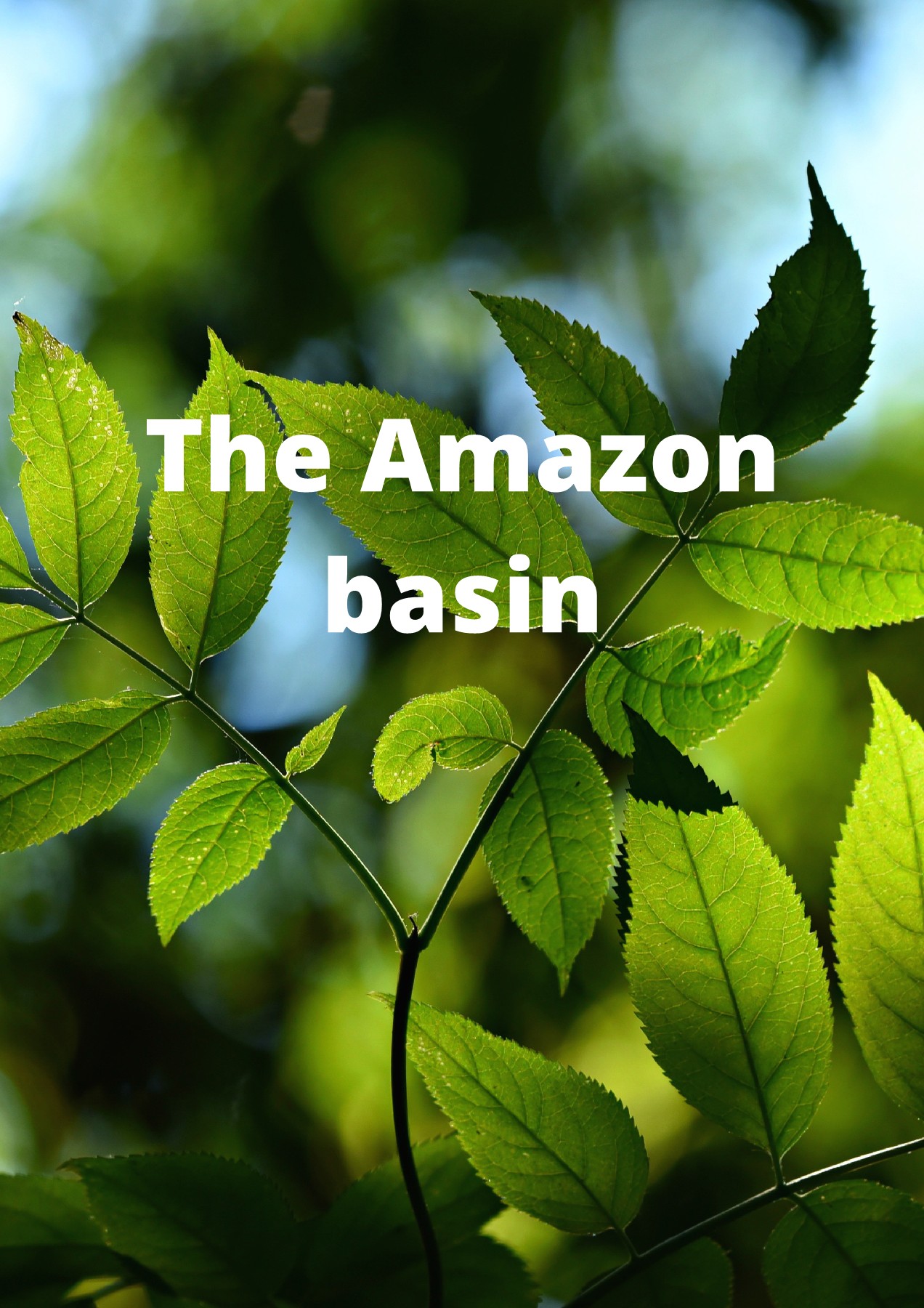 The Amazon basin - sonal sena - Page 1 - 8 | Flip PDF Online | PubHTML5